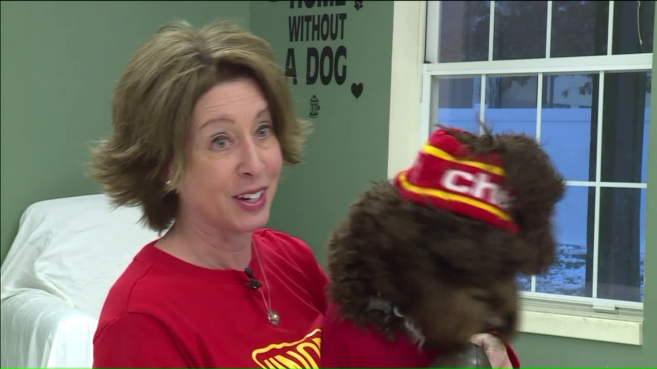Labradoodle Chiefs #1 Fan